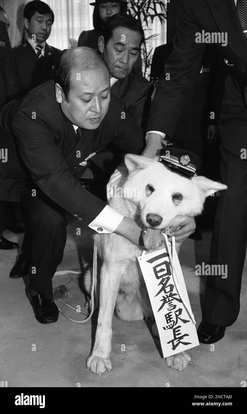 Jiro, a 4-year-old Akita dog, dons a station master’s cap and name tag ...