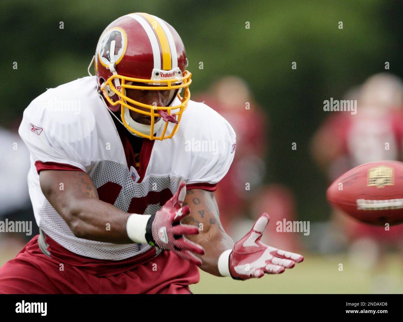 Washington Redskins running back Ryan Torain catches a pass at the NFL ...
