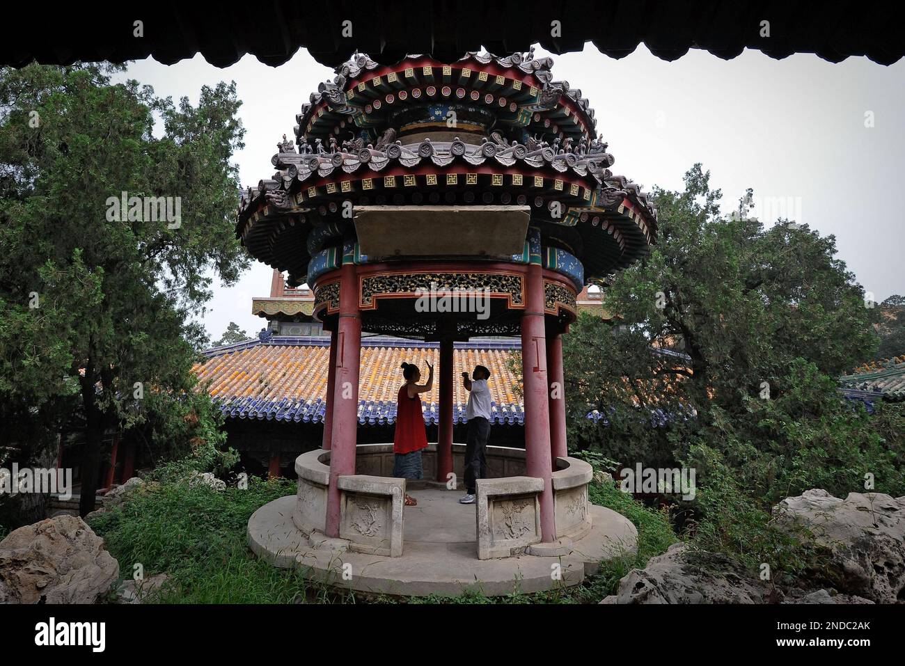 In this photo taken on Wednesday, July 28, 2010, Nancy Berliner, left ...
