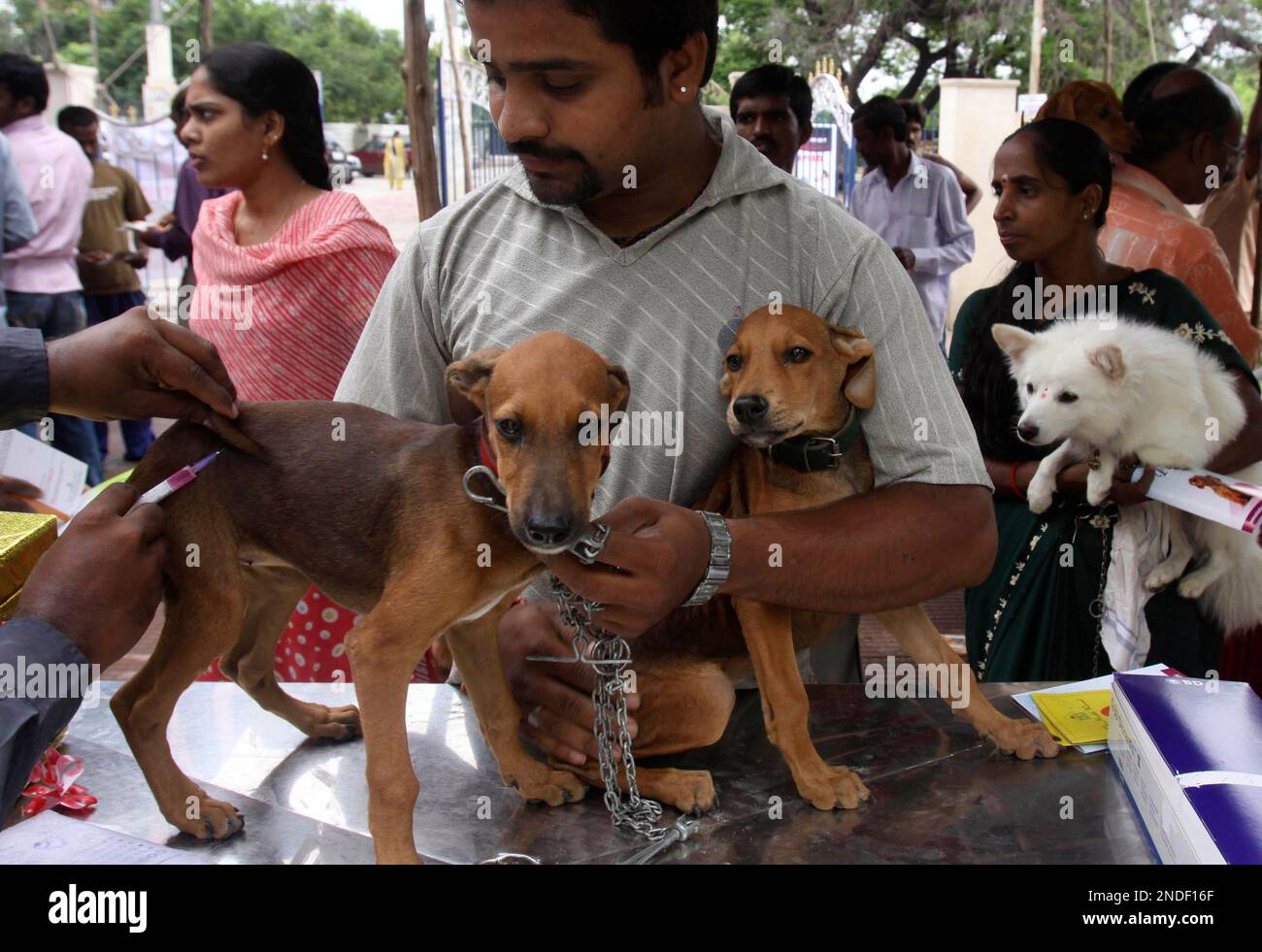 A man gets his dog vaccinated on World Zoonoses Day in Hyderabad, India ...