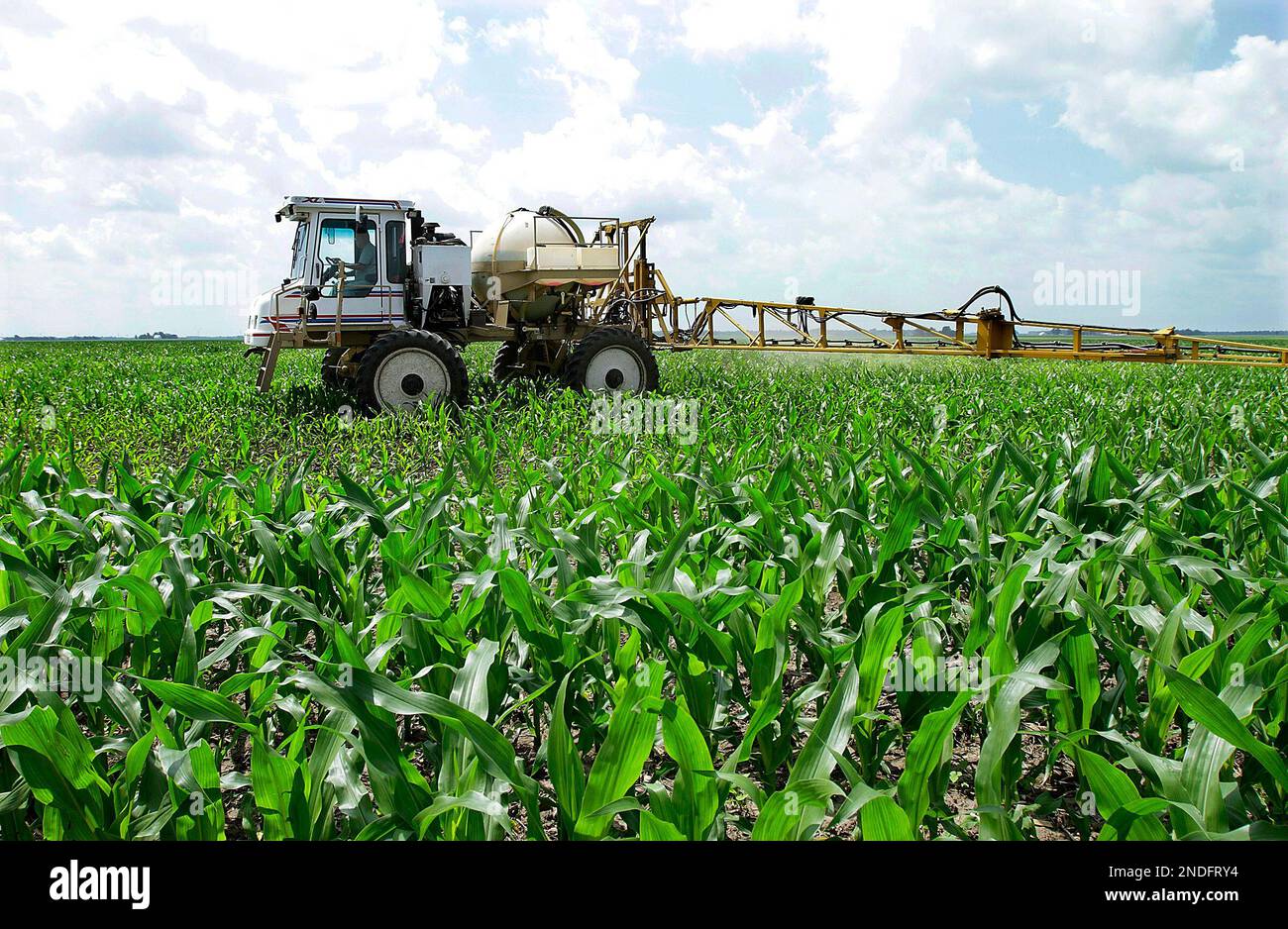 In this photo taken June 1, 2010, central Illinois corn farmer Jerry ...