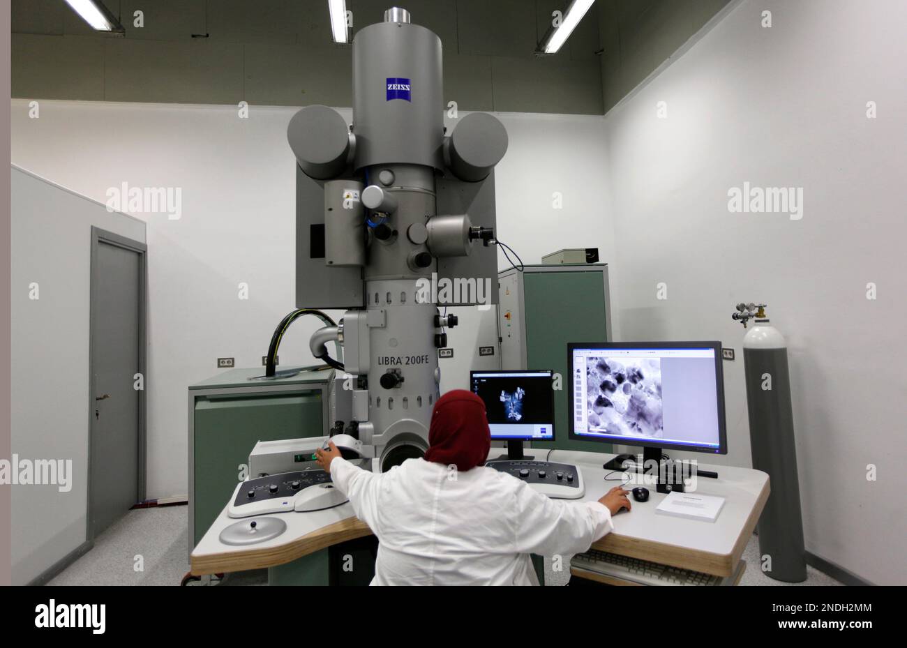 An Egyptian archeological technician works at a pharonic falcon mummy ...