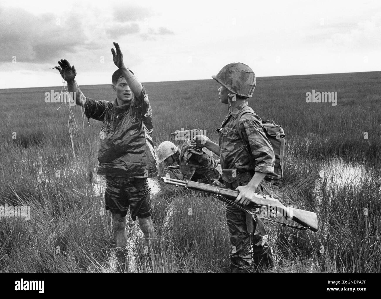 A Viet Cong Guerrilla, with arms raised is threatened into revealing ...