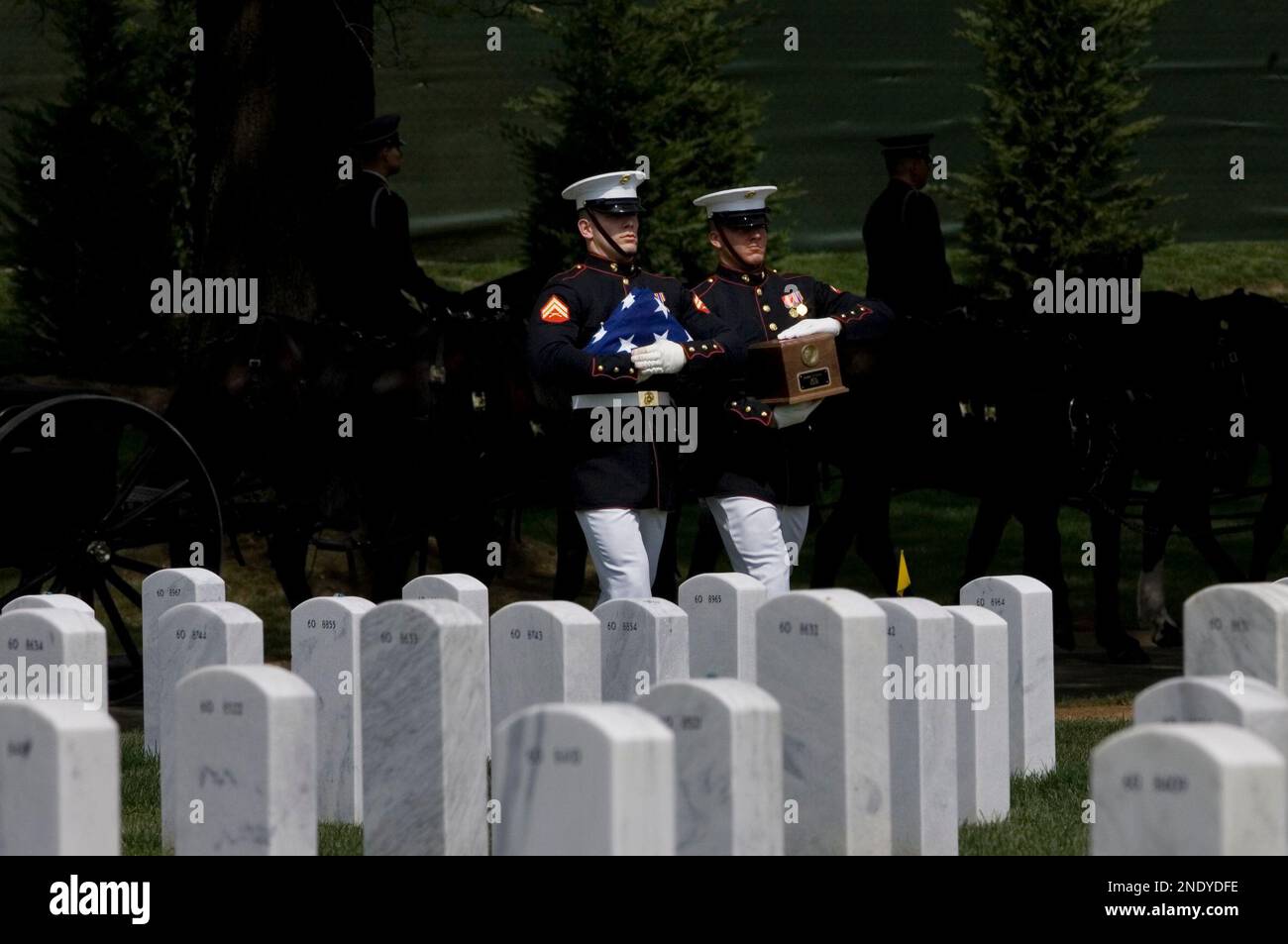 Marine honor guards carry the remains of Marine Sgt. Maj. Robert J ...