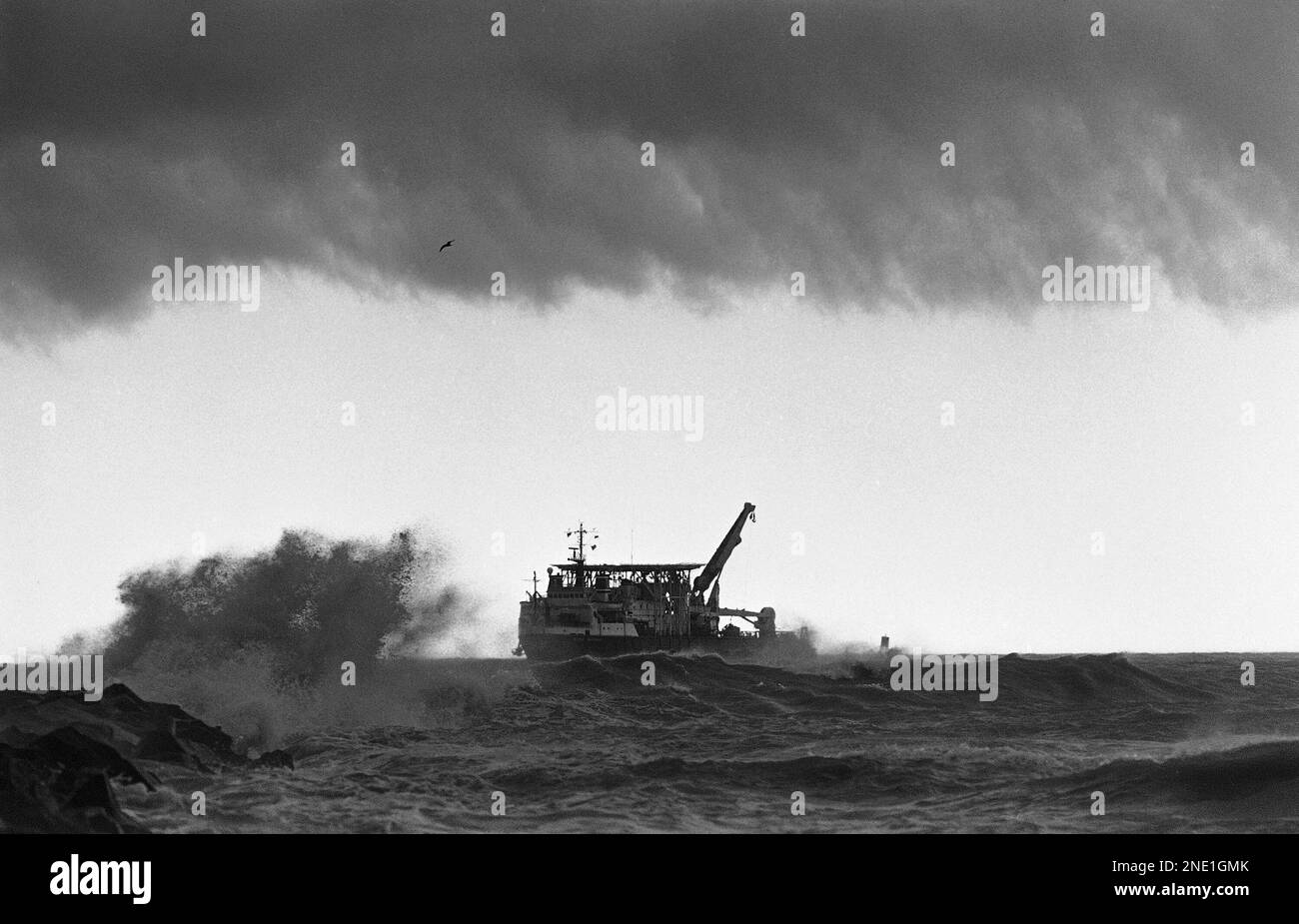 The giant salvage ship, the Stener Workhorse comes to port as storm ...