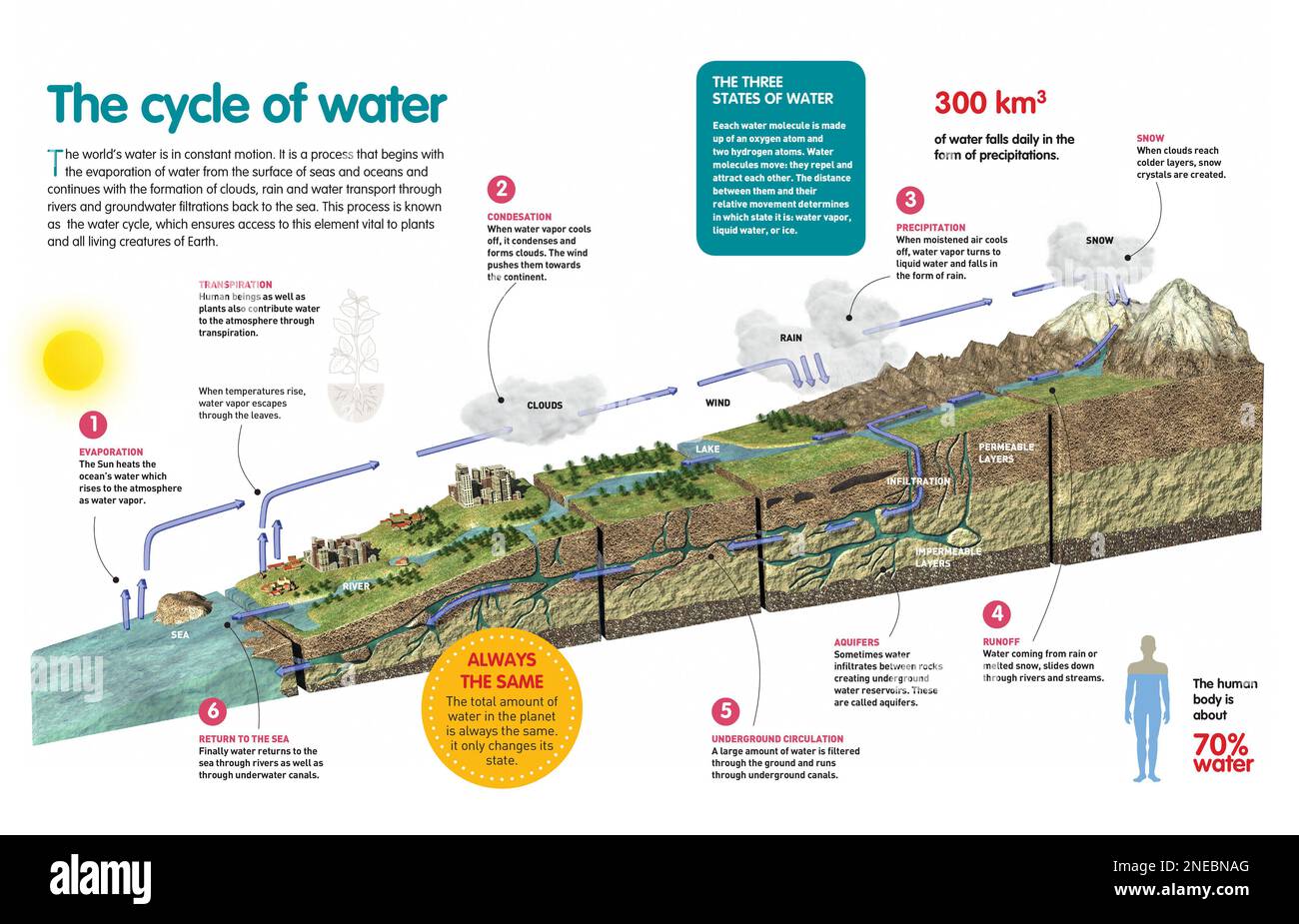 Infografik zum Wasserkreislauf. Seine Phasen und die verschiedenen ... Infografik zum Wasserkreislauf. Seine Phasen und die verschiedenen ...