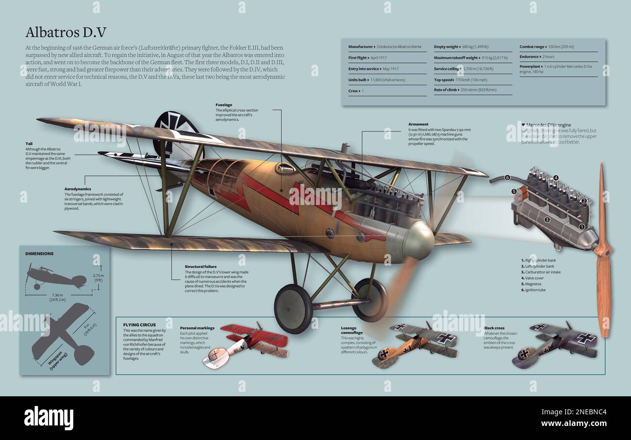 Infografik über das Flugzeug Albatross D.V., Wirbelsäule der deutschen ...