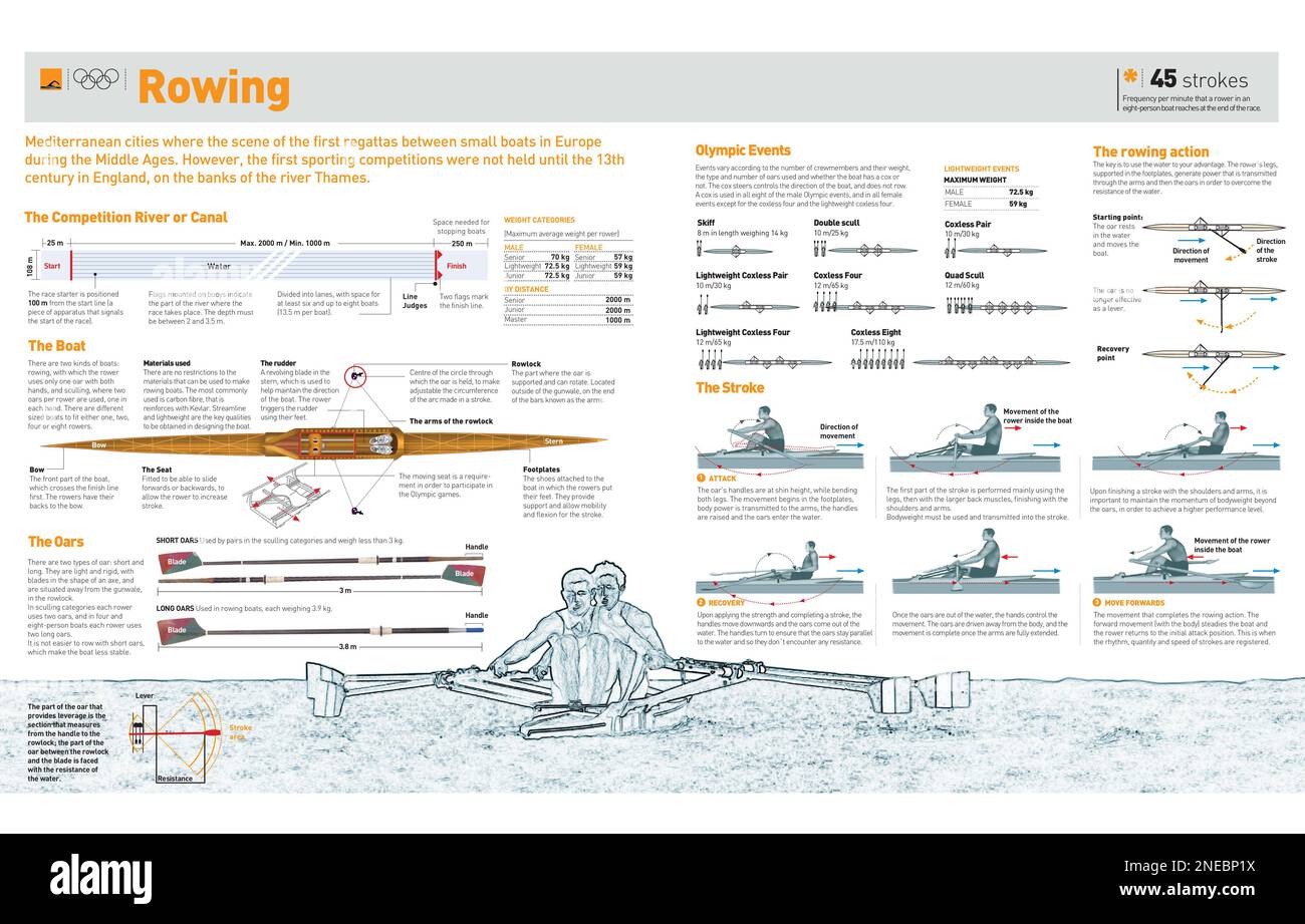 Infografiken über olympisches Rudern, seine Regeln, verschiedene ...