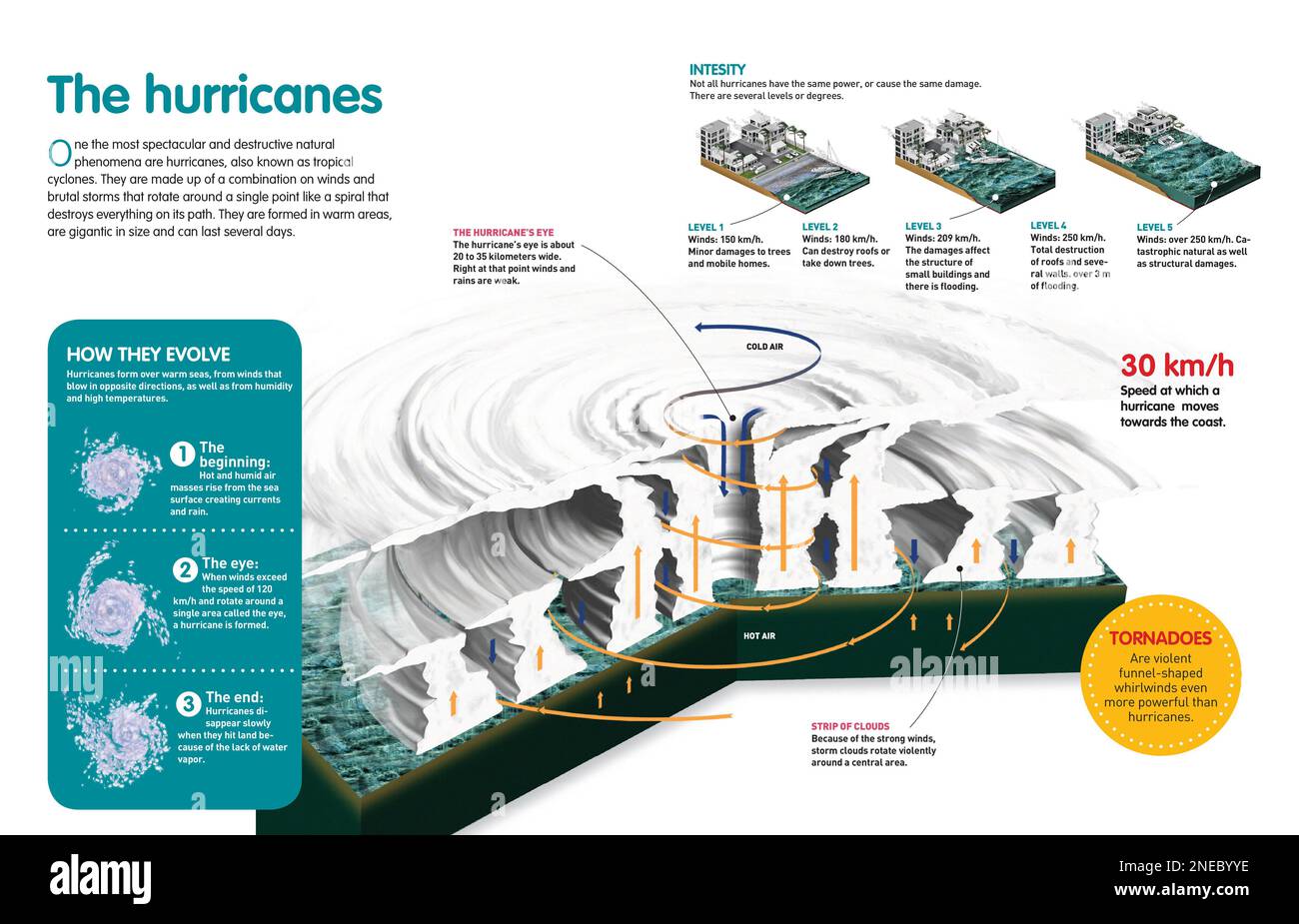 Infografik über den Entstehungsprozess von Hurrikanen, ihre innere ...