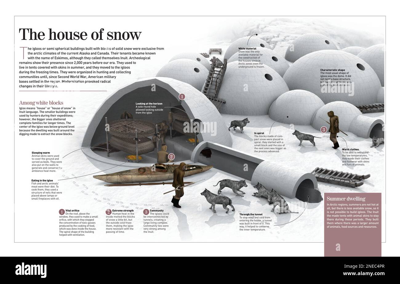Infografik über den Lebensstil der Inuit (Eskimos) und ihrer typischen ...