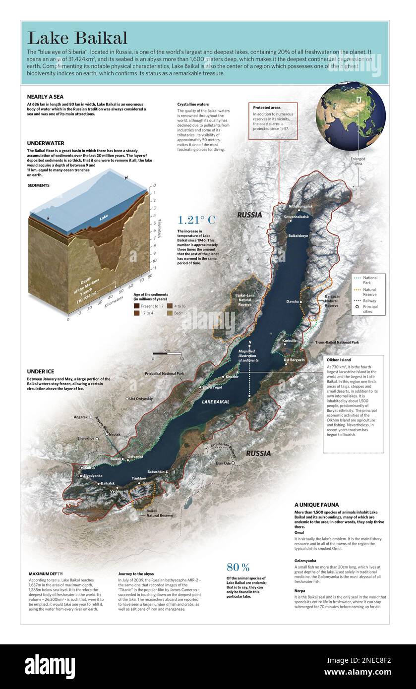 Infografik über die geologischen Merkmale, das Relief und die Fauna des ...
