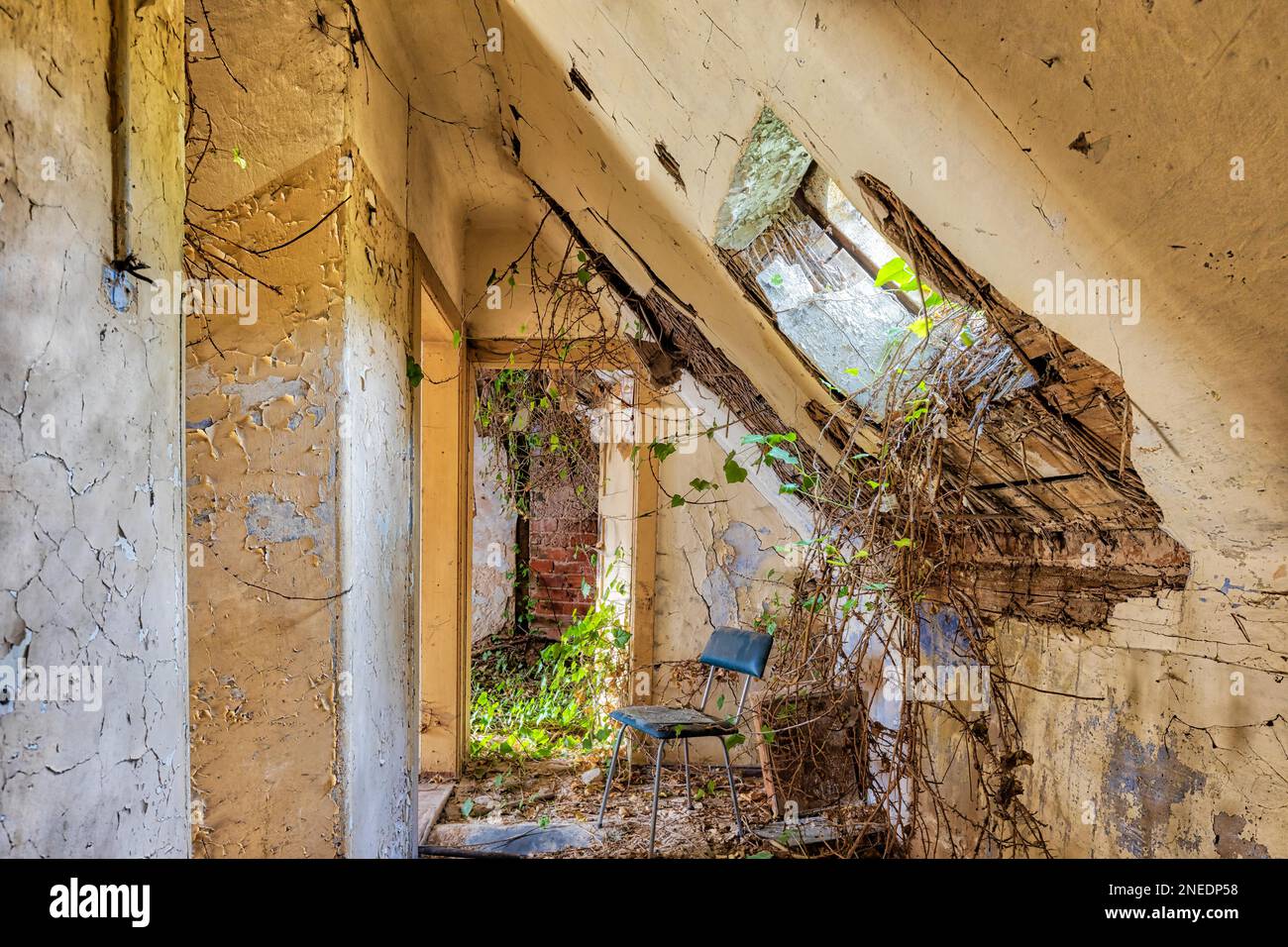 Return to nature -Fotos und -Bildmaterial in hoher Auflösung – Alamy