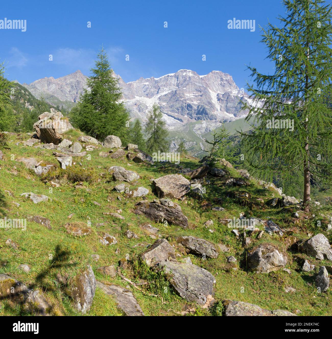 Die Gipfel Punta Gnifetti oder Signalkuppe, Parrotspitze, Ludwigshohe ...
