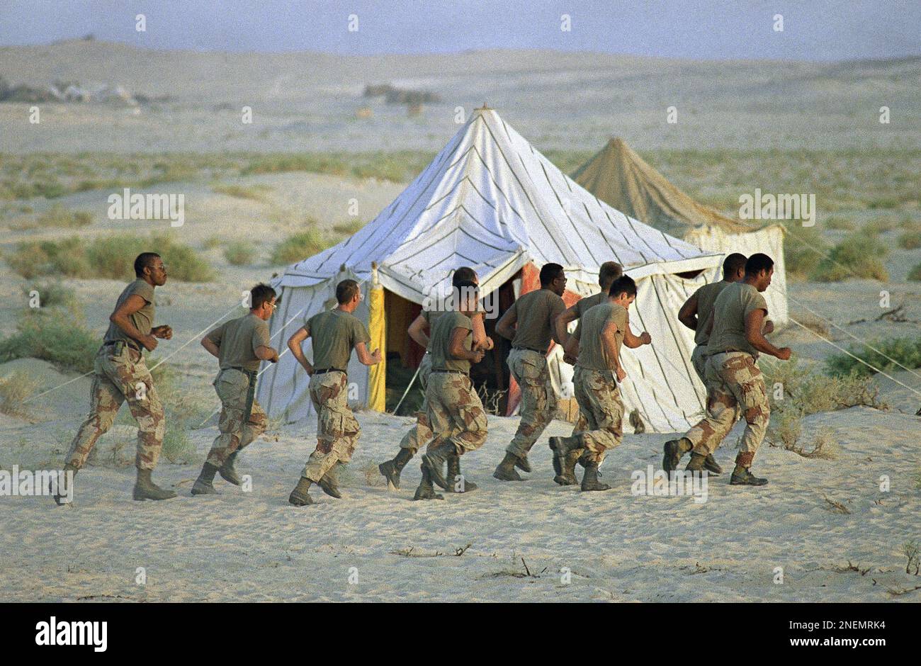 Soldiers form a mechanized infantry platoon of the 24th Infantry ...