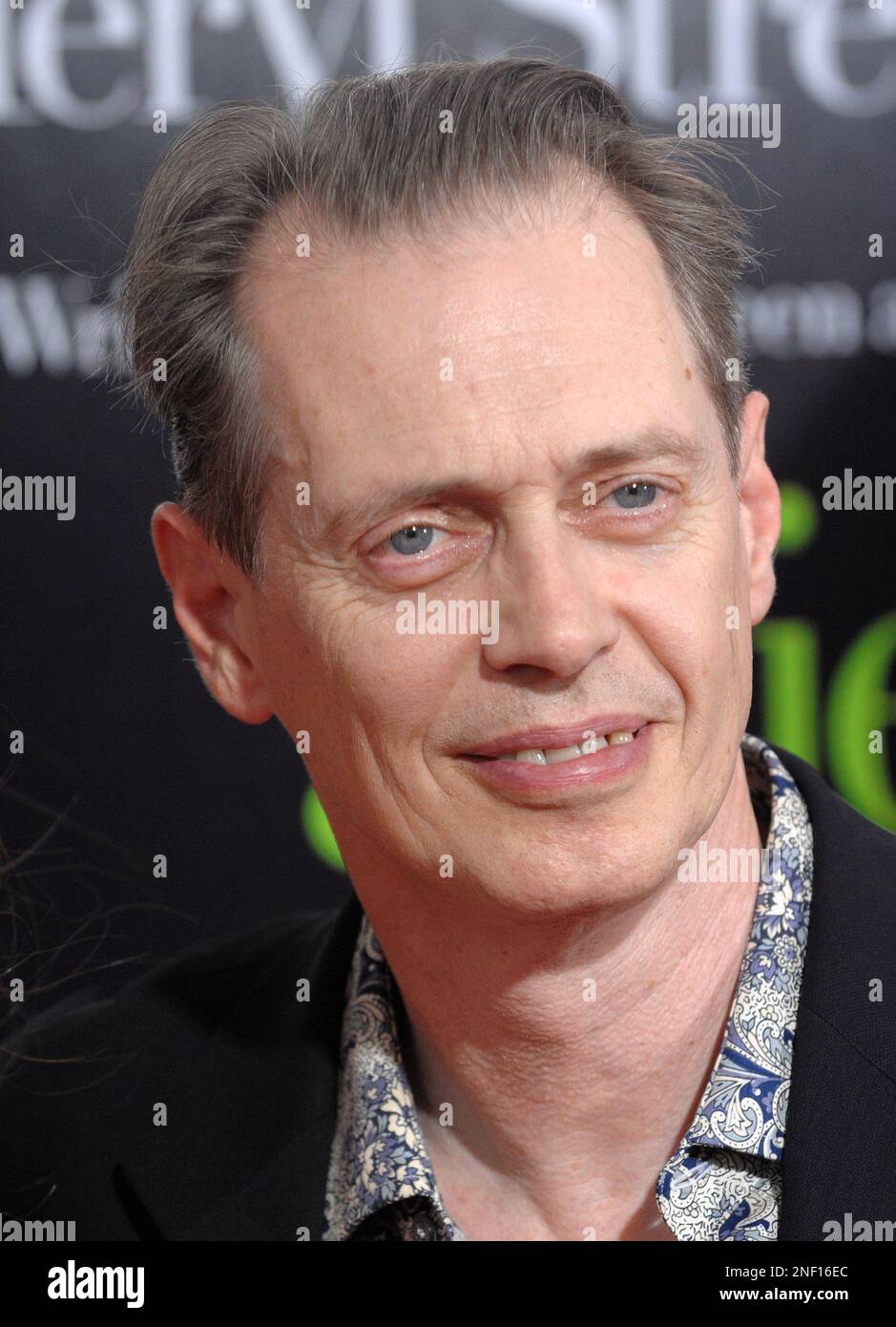 Actor Steve Buscemi attends the premiere of "Julie & Julia" at The ...