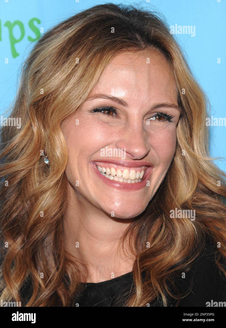 Actress Julia Roberts attends a celebration of Paul Newman's Hole in ...