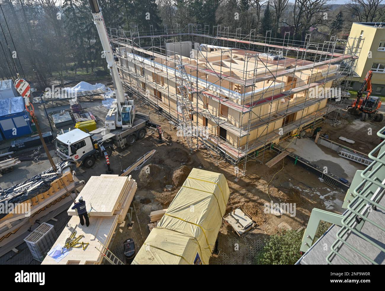 16. Februar 2023, Brandenburg, Müncheberg: Blick auf die Holzmuschel ...