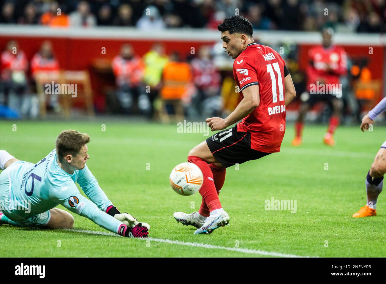 Alexander amiri -Fotos und -Bildmaterial in hoher Auflösung – Alamy
