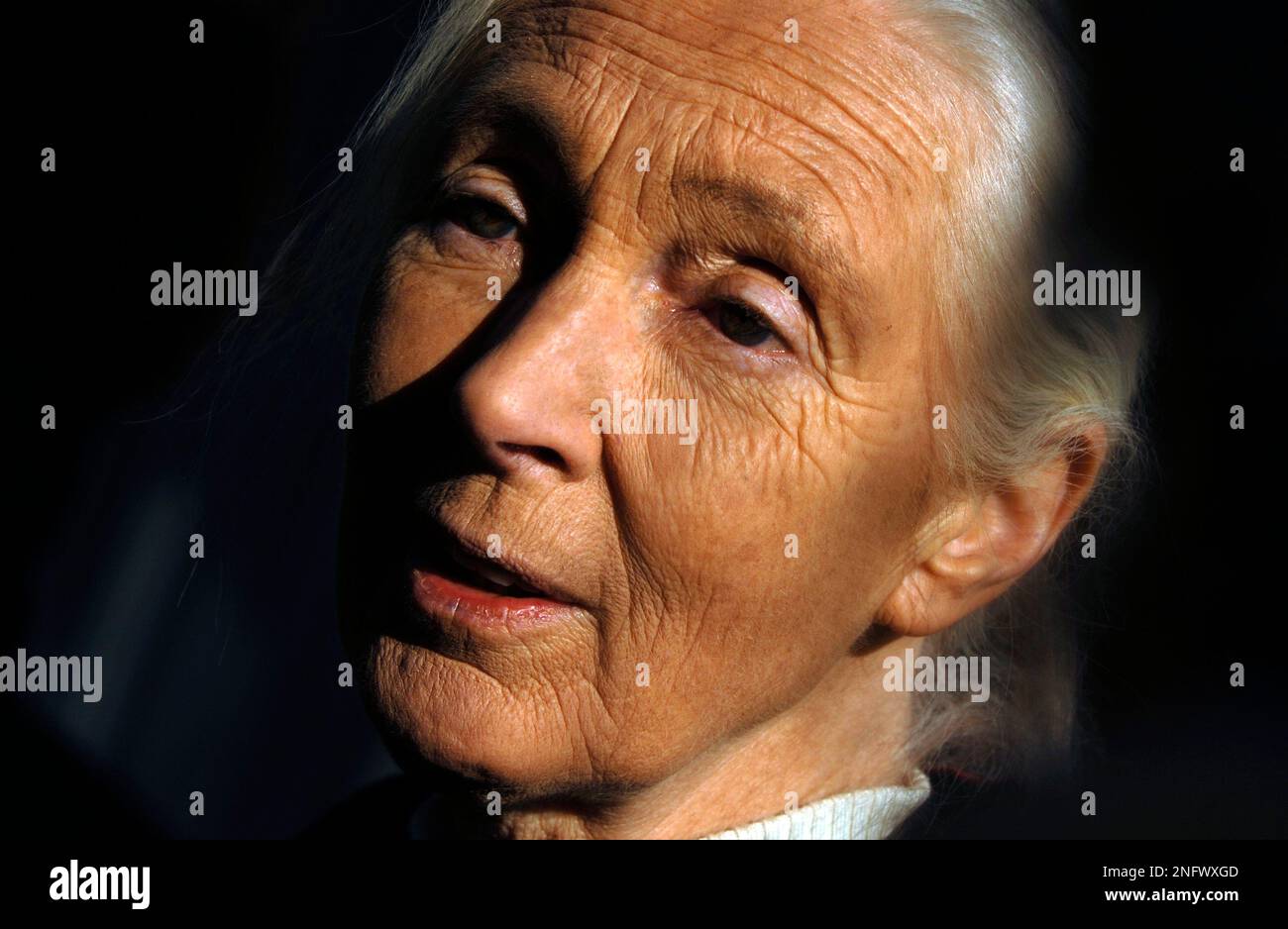 Jane Goodall, British world famous expert of chimpanzees, is seen at ...