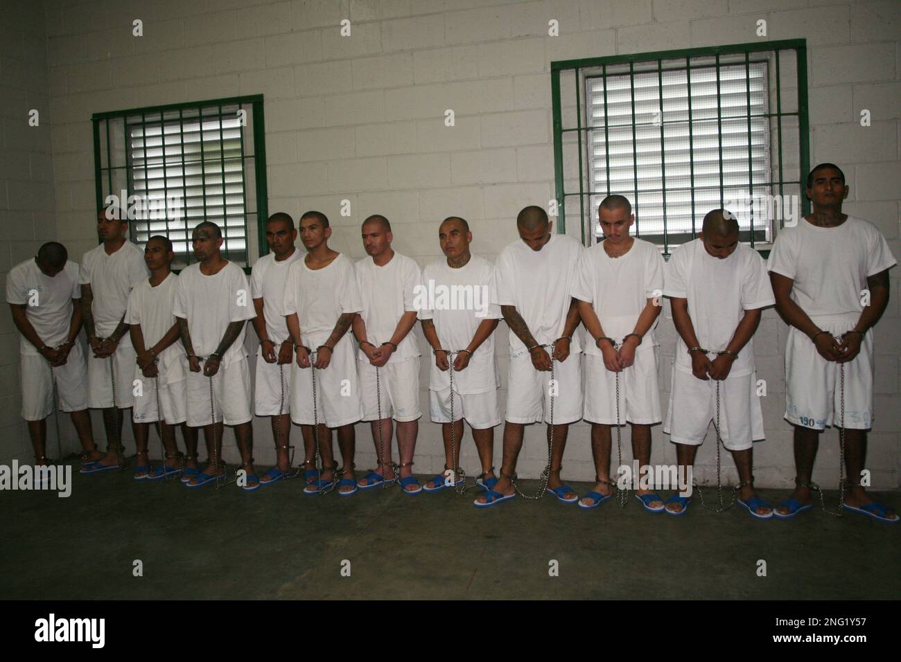 Gang members are shown to the press after being transferred to the ...