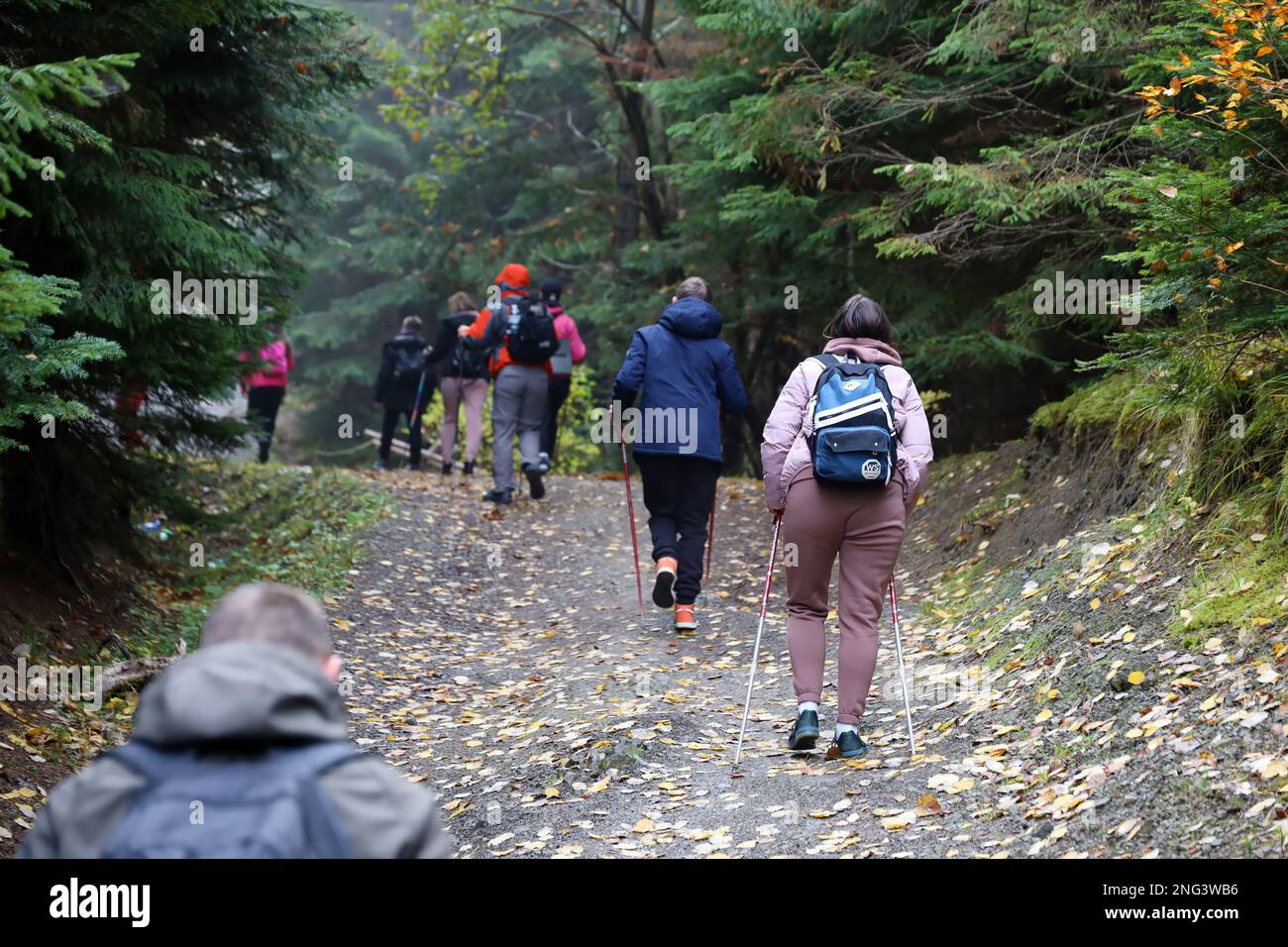 KARPATEN, UKRAINE - 8. OKTOBER 2022 Mount Hoverla. Karpaten in der ...