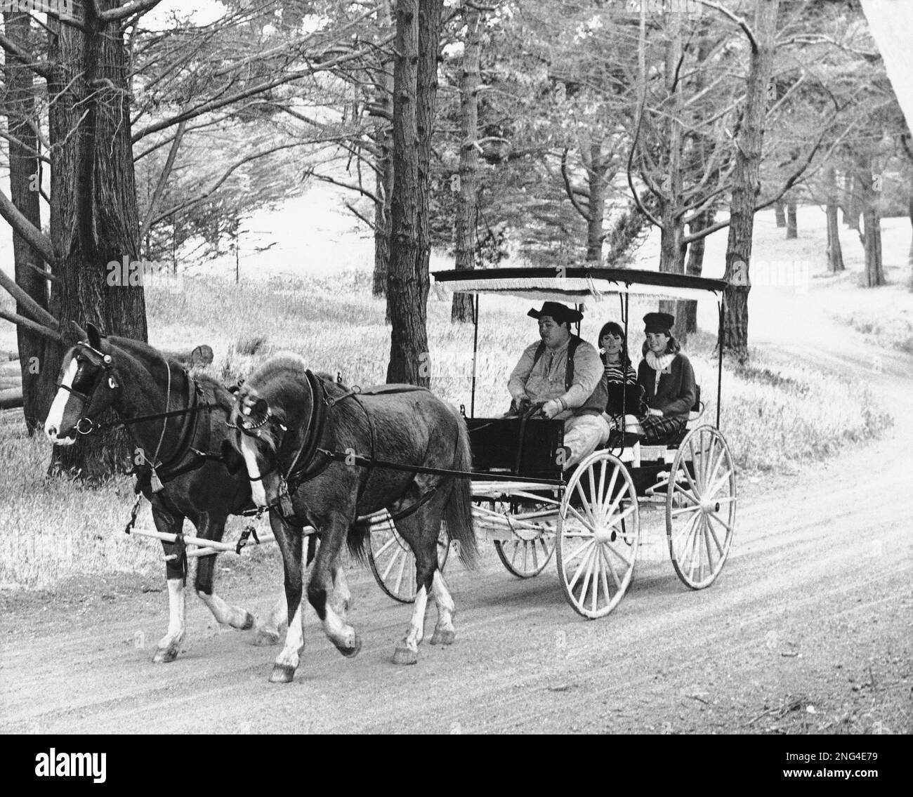 Getting a taste of an age before they were born, Sue Rice and Susan ...