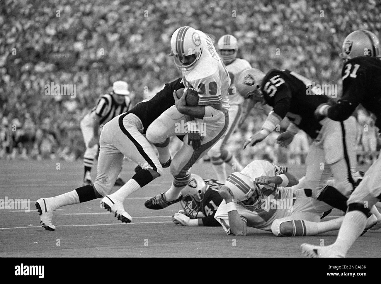 Miami Dolphin running back Larry Csonka (39) bulls his way forward in ...