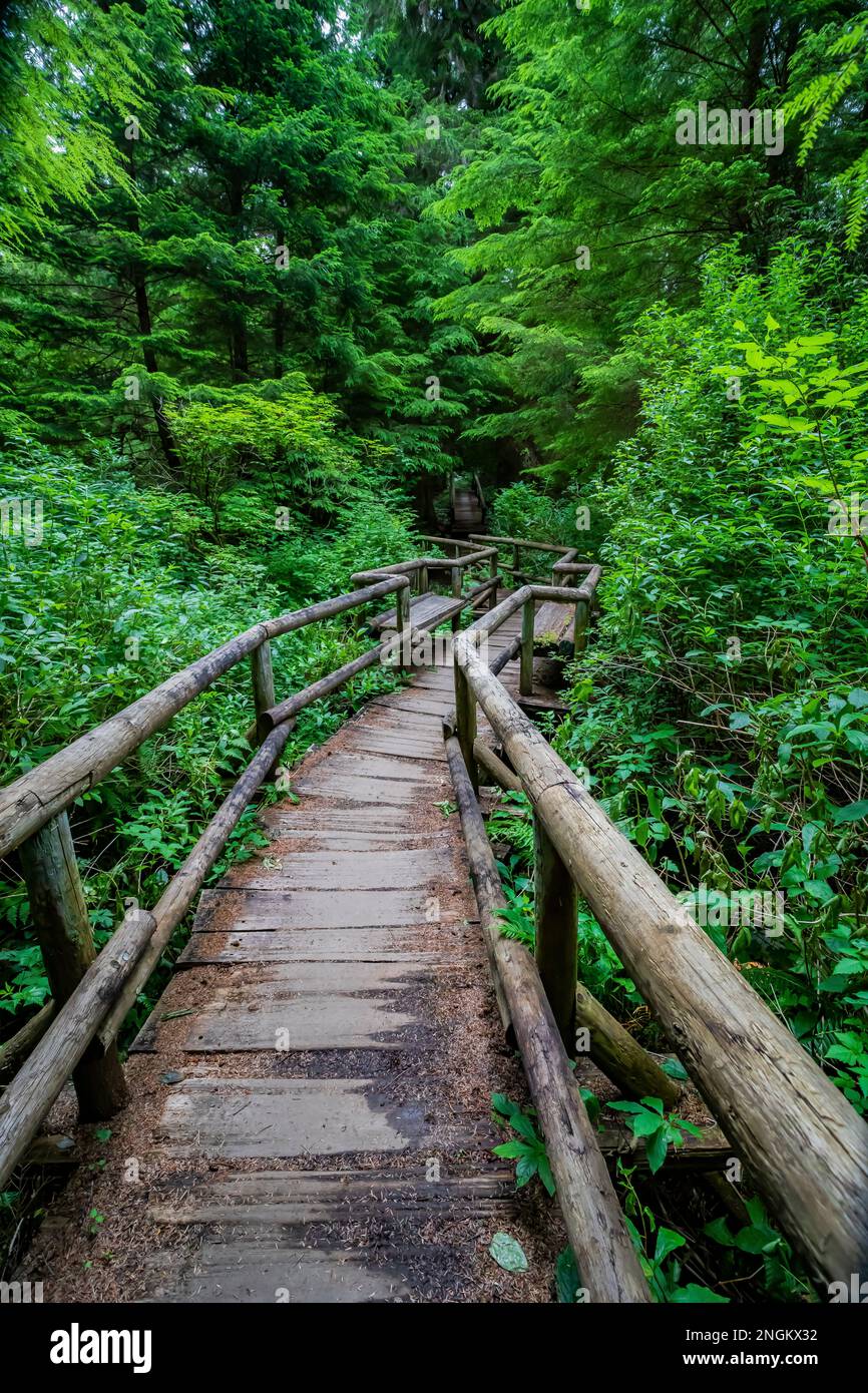Der Weg zum Shi Beach im Olympic-Nationalpark führt durch die Makah ...