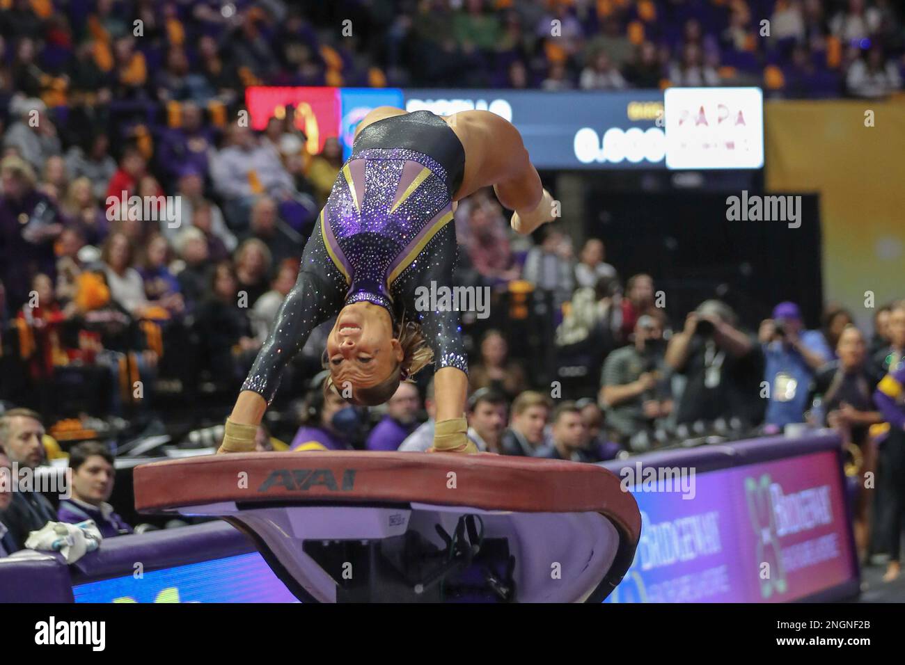February 17, 2023: LSU's Chase Brock leaps off the vault during NCAA ...