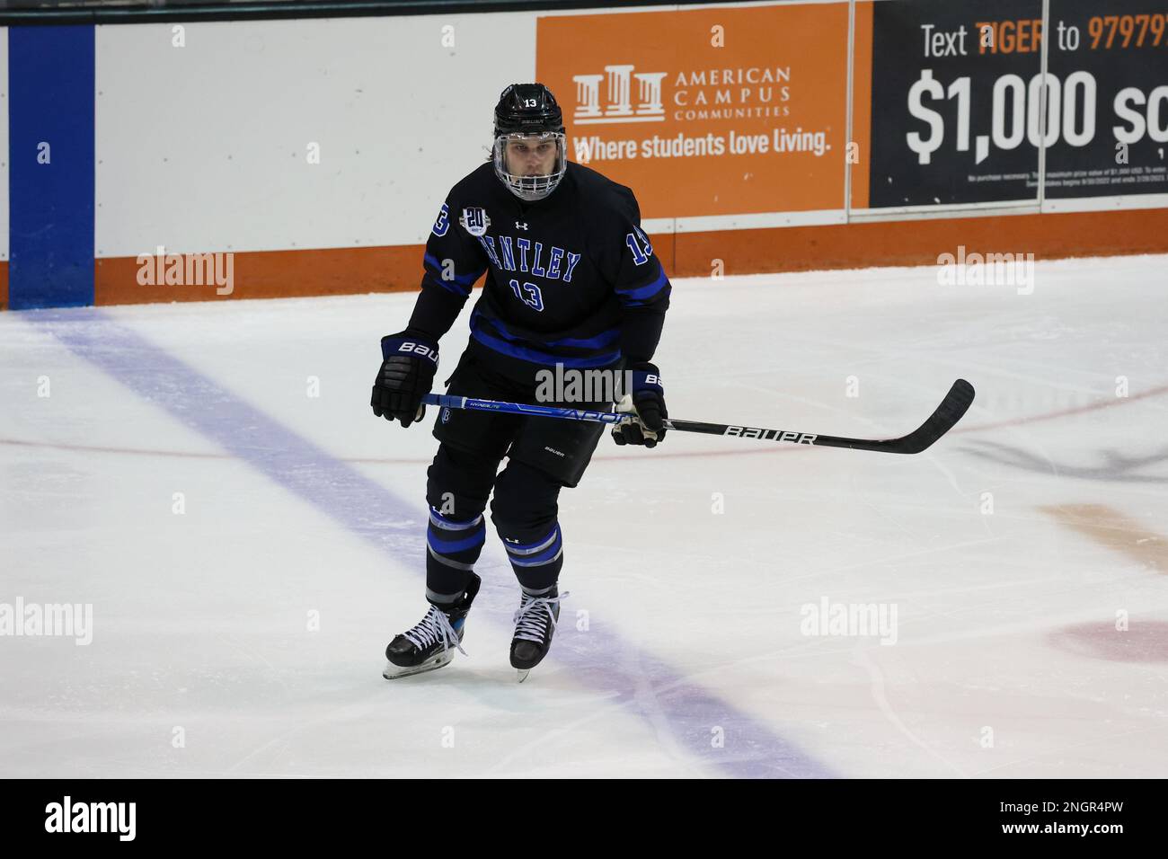 18. Februar 2023: Bentley Falcons Forward Matt Gosiewski (13) skates im ...