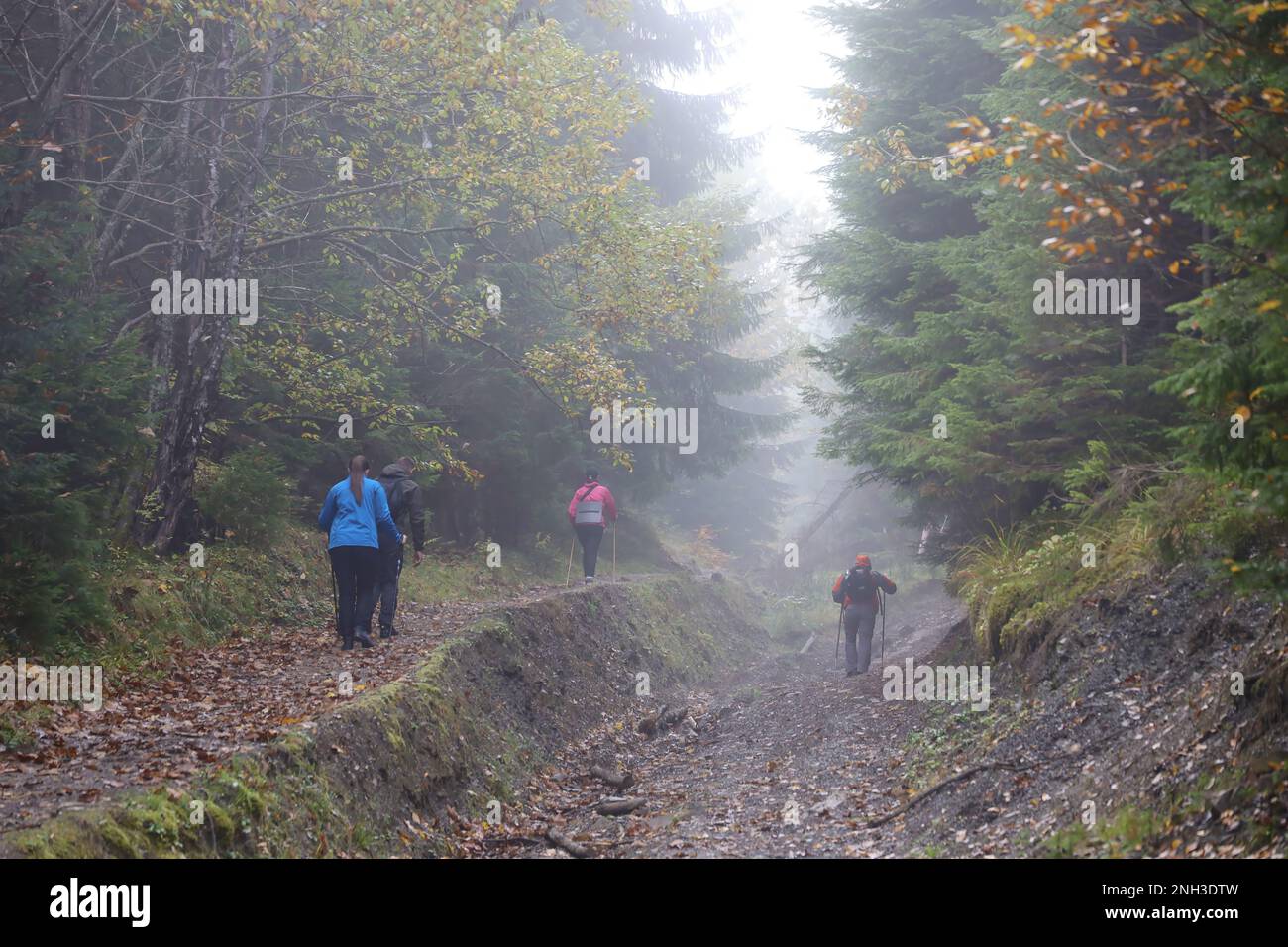 KARPATEN, UKRAINE - 8. OKTOBER 2022 Mount Hoverla. Karpaten in der ...