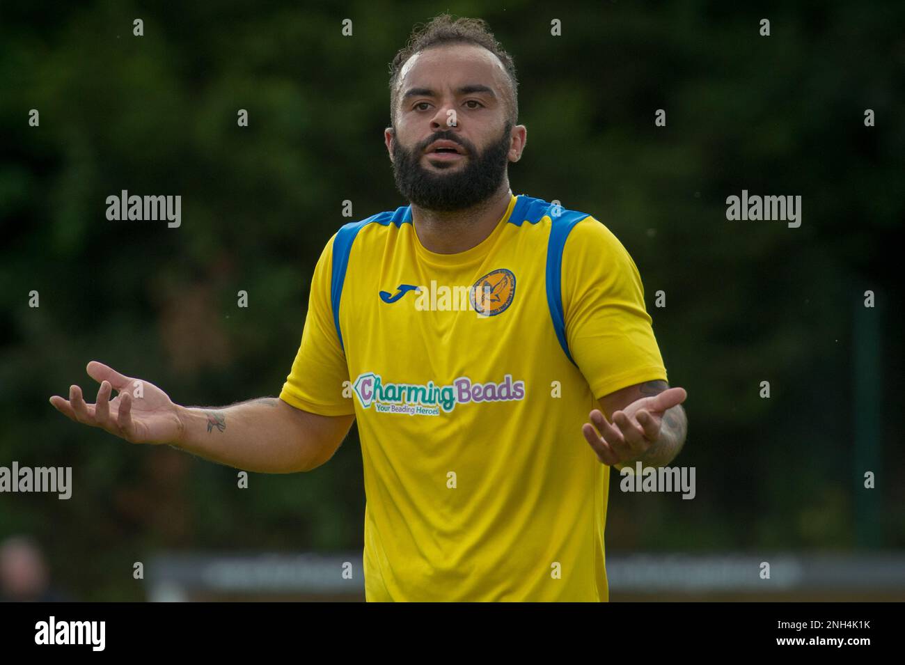 Monmouth town football club -Fotos und -Bildmaterial in hoher Auflösung ...