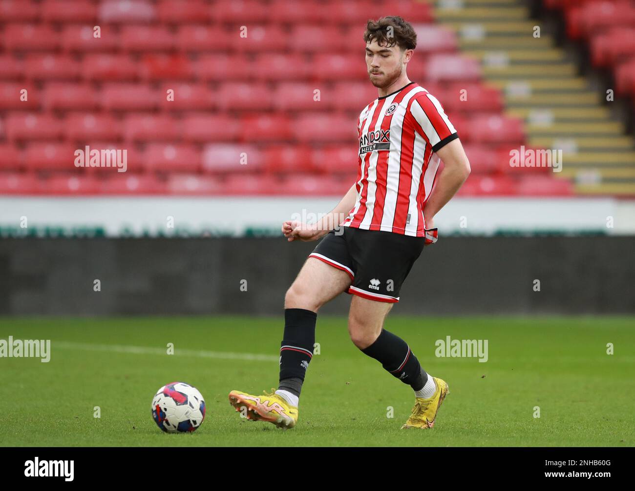 Sheffield united u21 gegen sheffield mittwoch -Fotos und -Bildmaterial ...