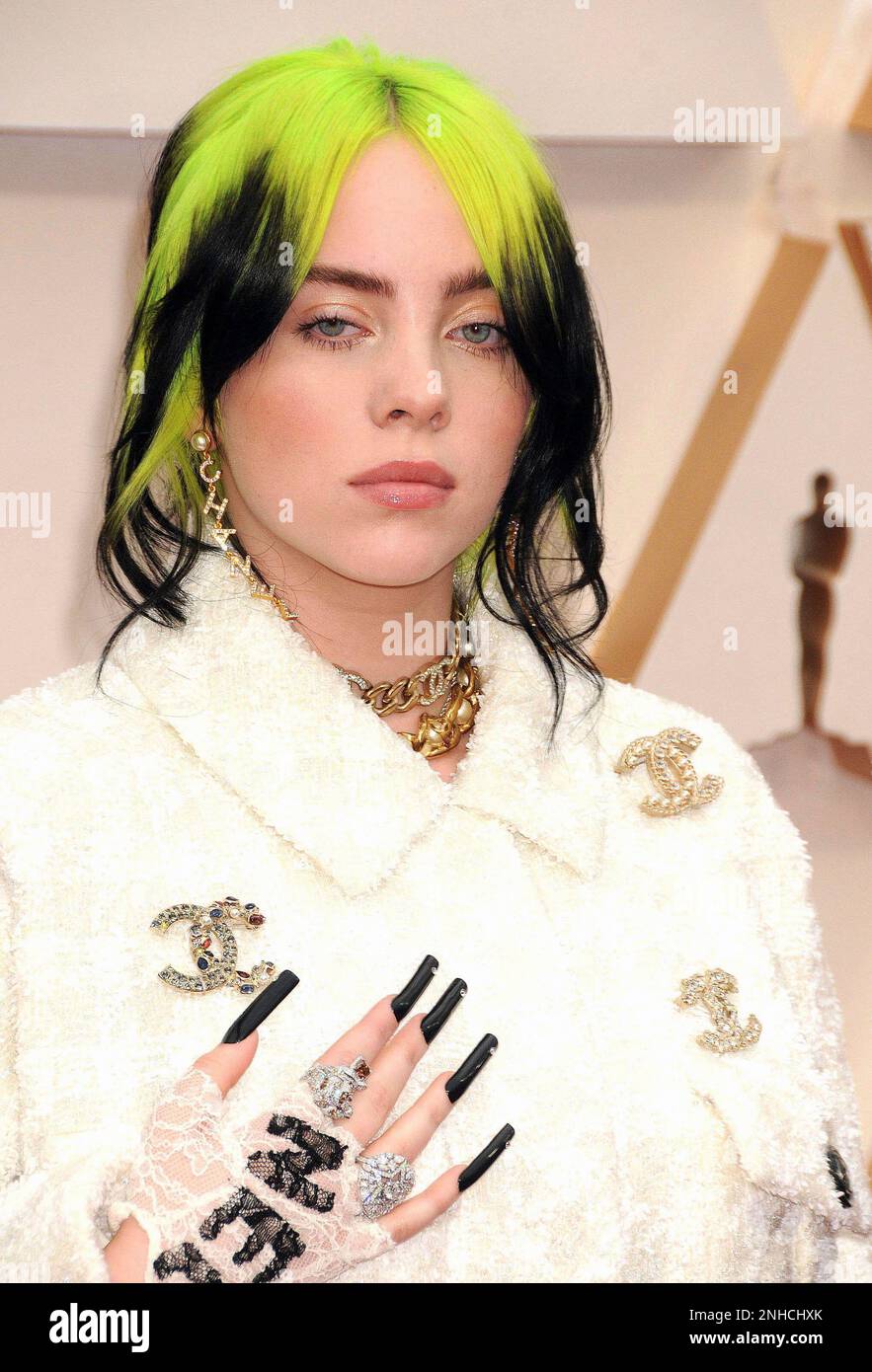 JANUARY 18th 2023: Billie Eilish files for a restraining order against ...