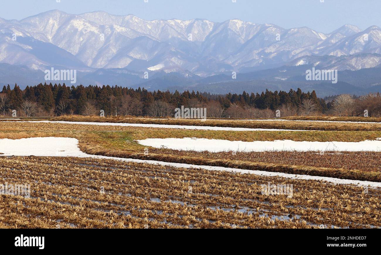 Fields to raise soybeans to produce Natto are pictured in Noshiro City ...