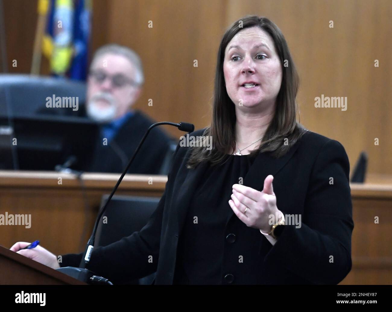 Mark Jensen's attorney Bridget Krause asks questions of potential ...