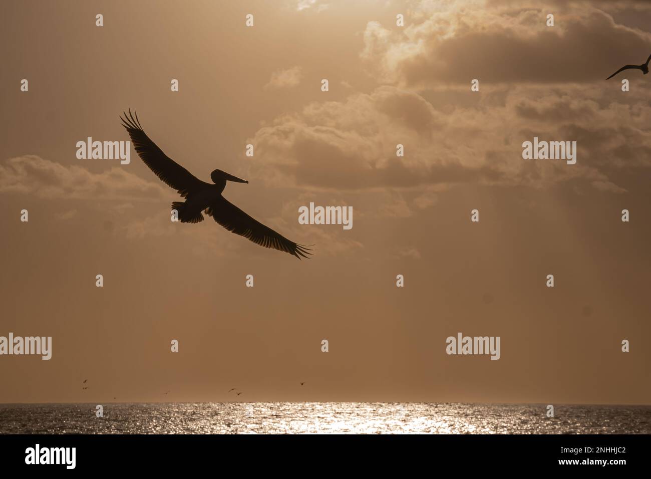 Visitare aruba -Fotos und -Bildmaterial in hoher Auflösung – Alamy