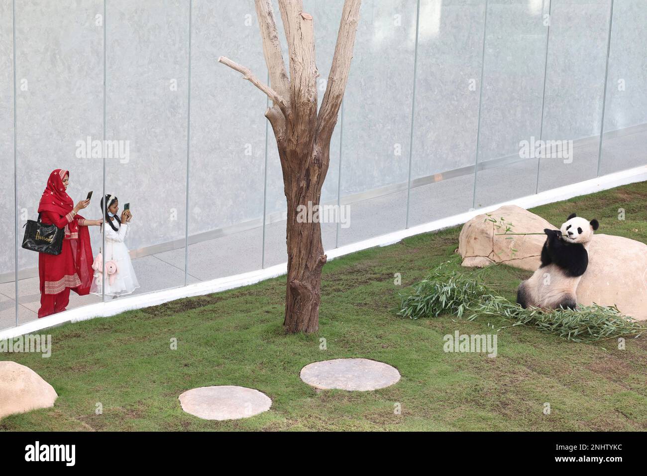 Giant panda Si Hai is seen at the Panda House at Al Khor Park in Doha ...