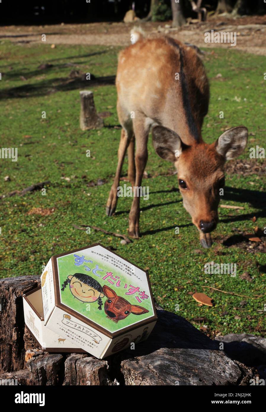 Cracker for deer is sold in a vending machine at Nara Park in Nara City ...