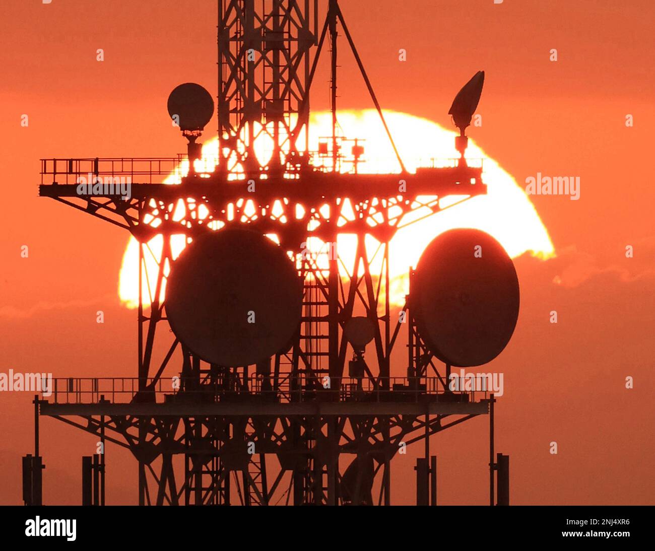 Yuyake Panda, known as the Sunset Panda appears for the first time in ...
