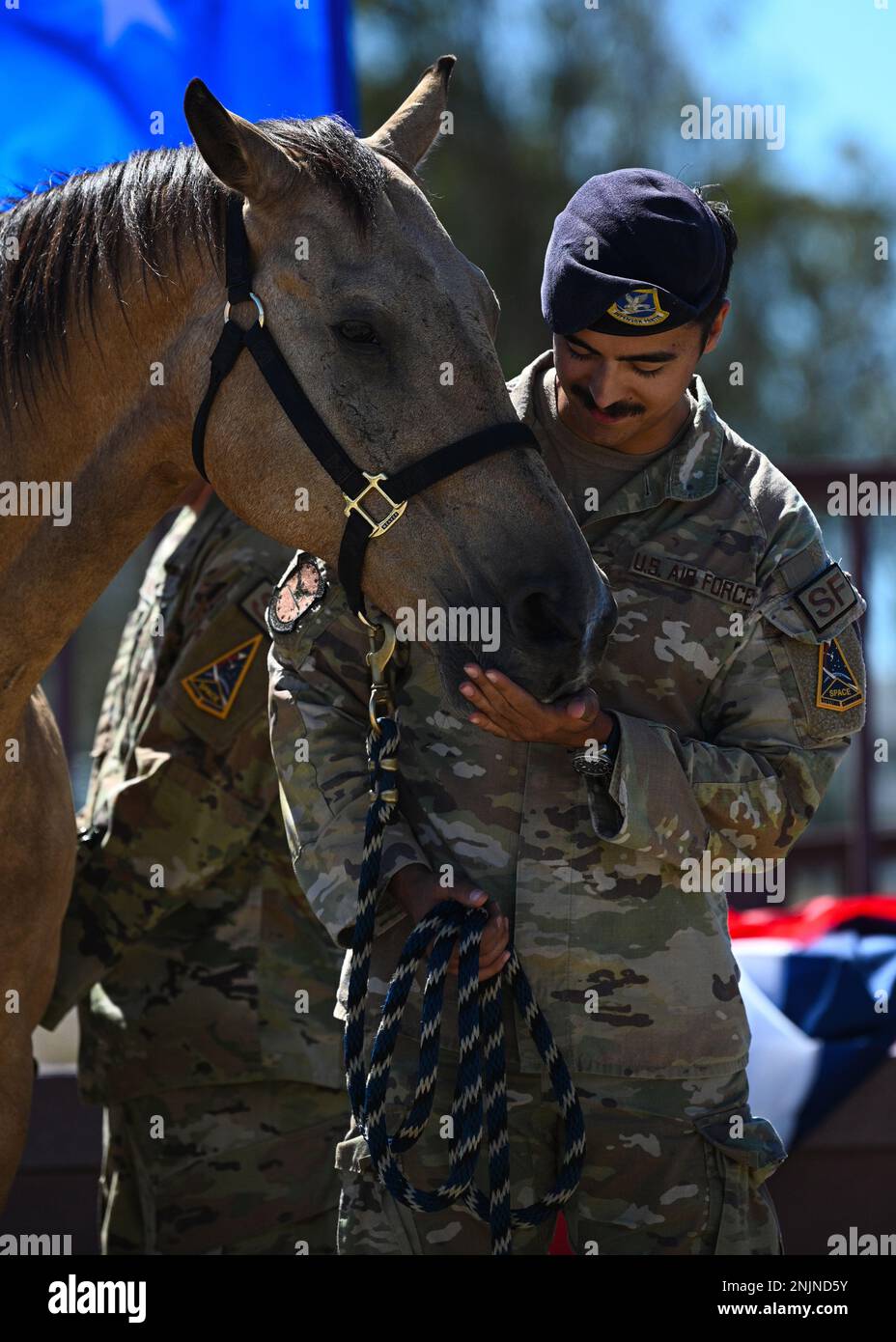 TeamV verabschiedete sich von unseren militärisch arbeitenden Pferden ...