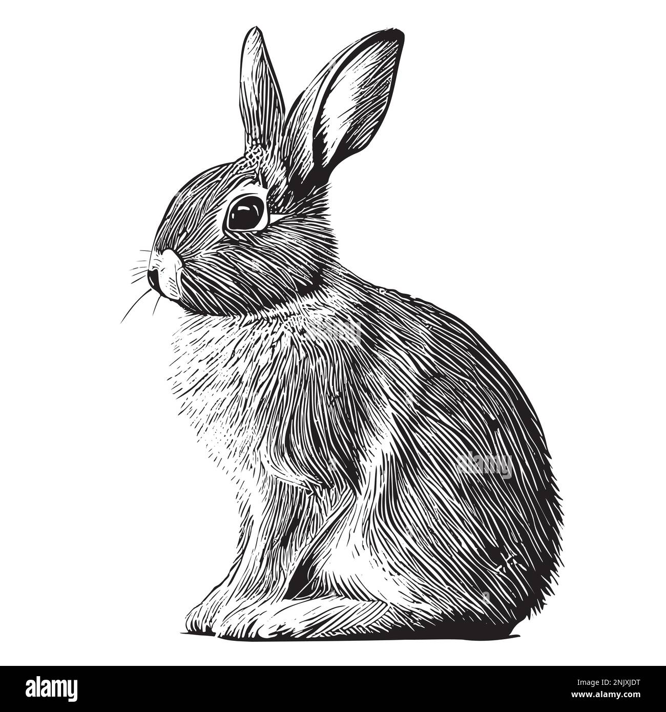 Sitzender hase Schwarzweiß-Stockfotos und -bilder - Alamy
