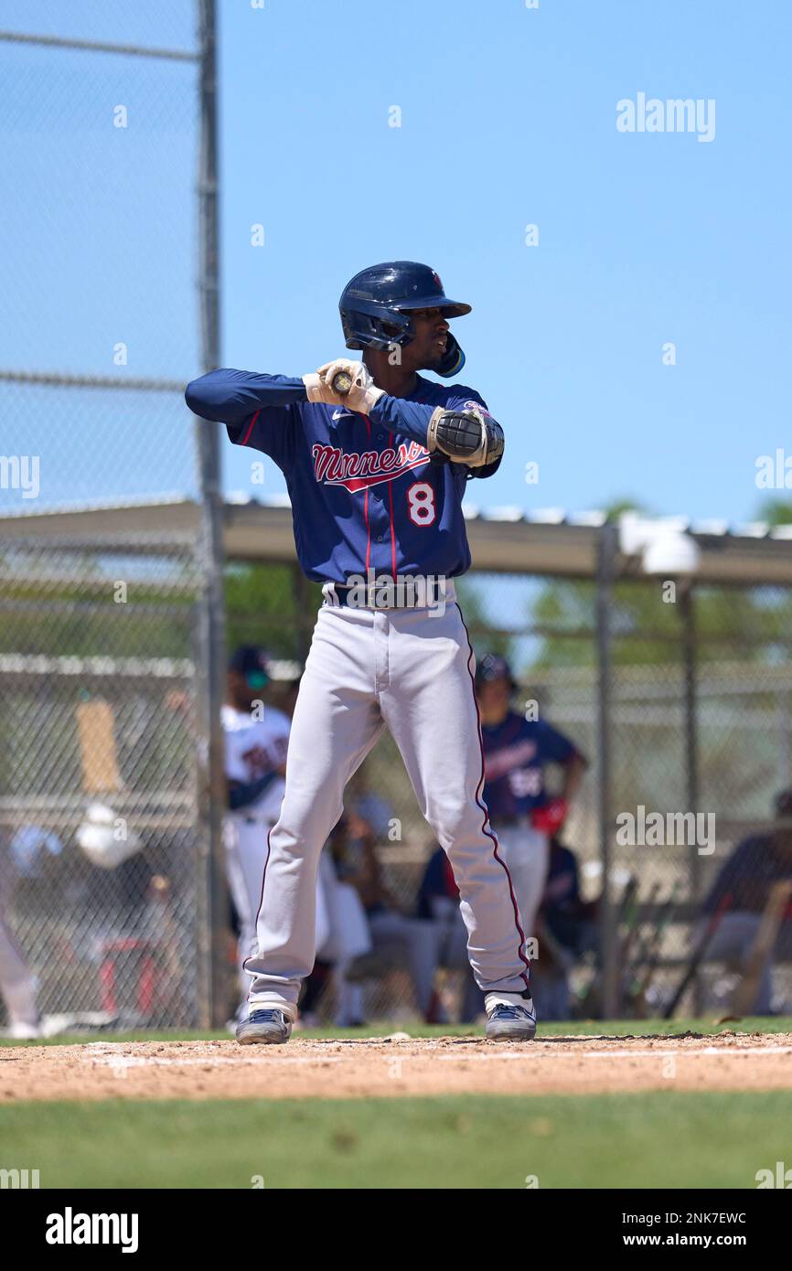 Minnesota Twins Alerick Soularie (8) bats during a MiLB Spring Training ...
