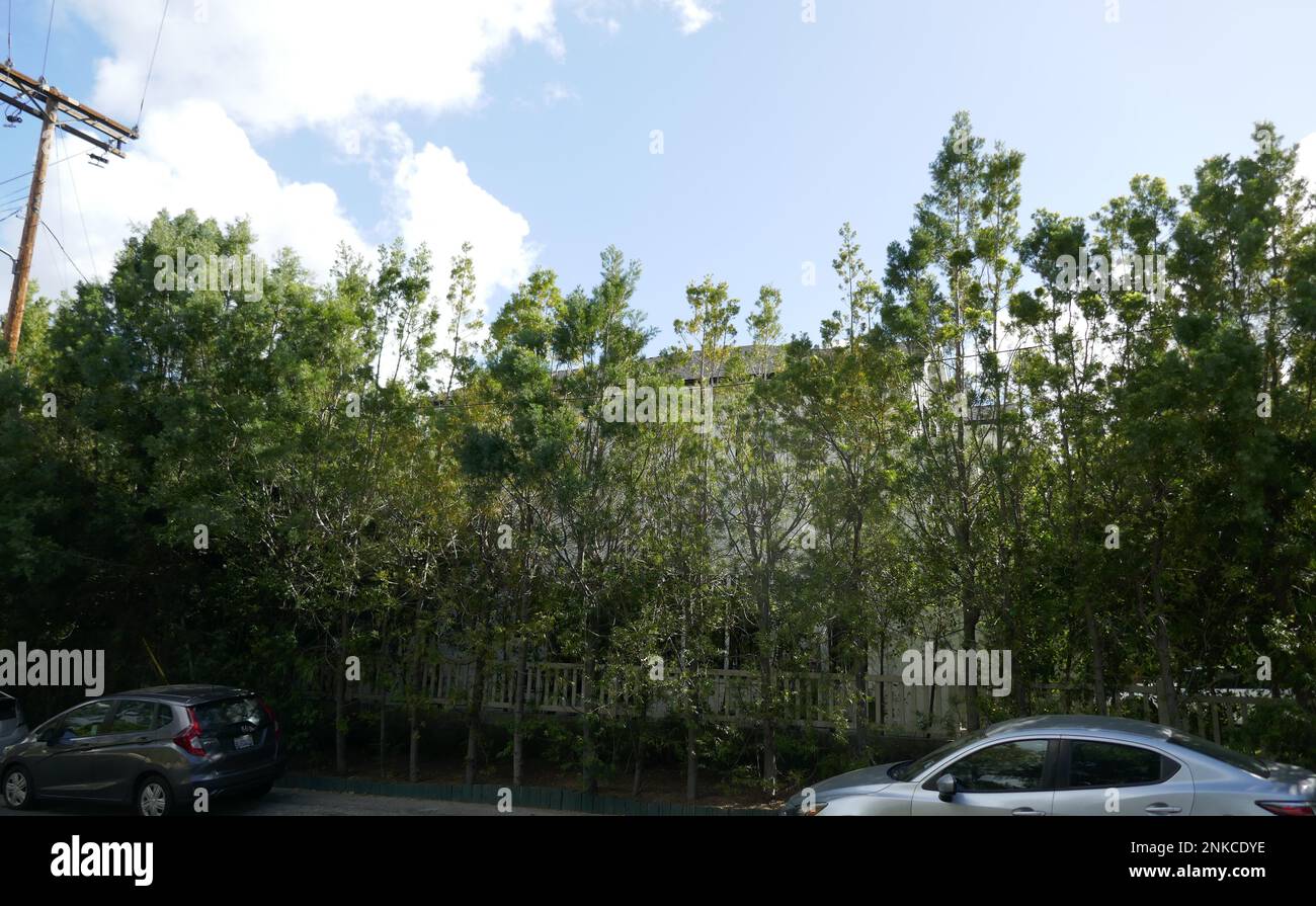 Encino, Kalifornien, USA 22. Februar 2023 Tänzer/TV-Persönlichkeit ...