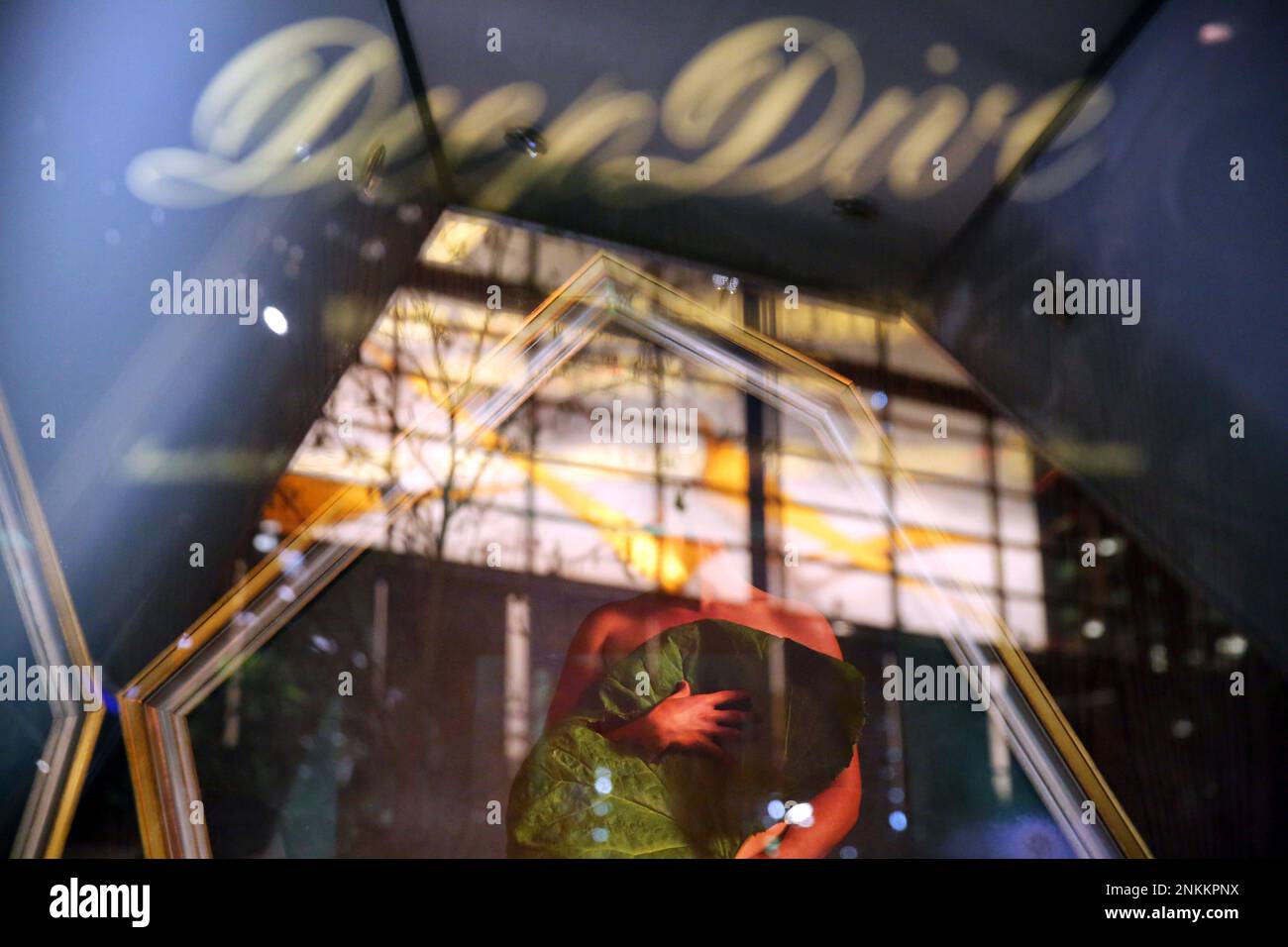 Renee Erickson's new restaurant and bar Deep Dive in the Amazon Spheres ...