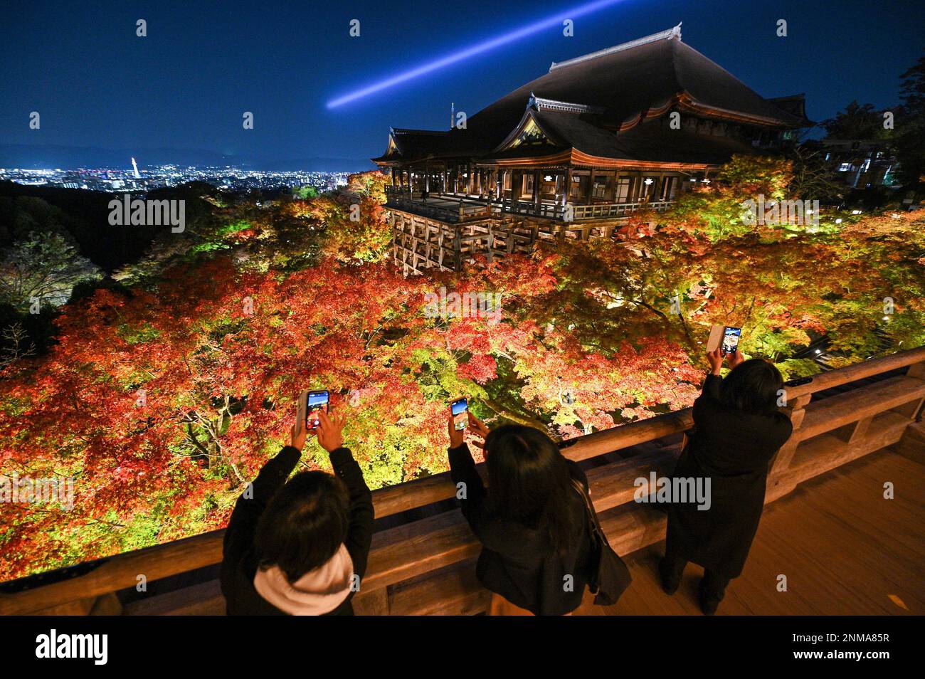Kiyomizu-dera temple, surrounded by autumn leaves, is lit up with a ...