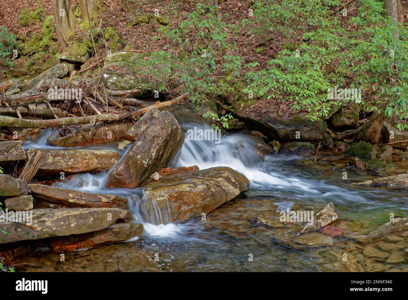 Nahaufnahme des schnell fließenden Wassers, das über die Felsen im Bach ...