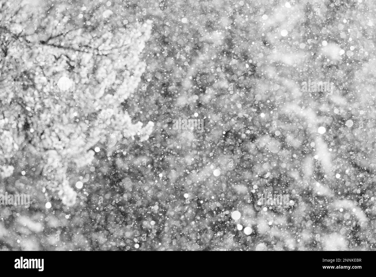 Kalter eisiger morgen Schwarzweiß-Stockfotos und -bilder - Alamy