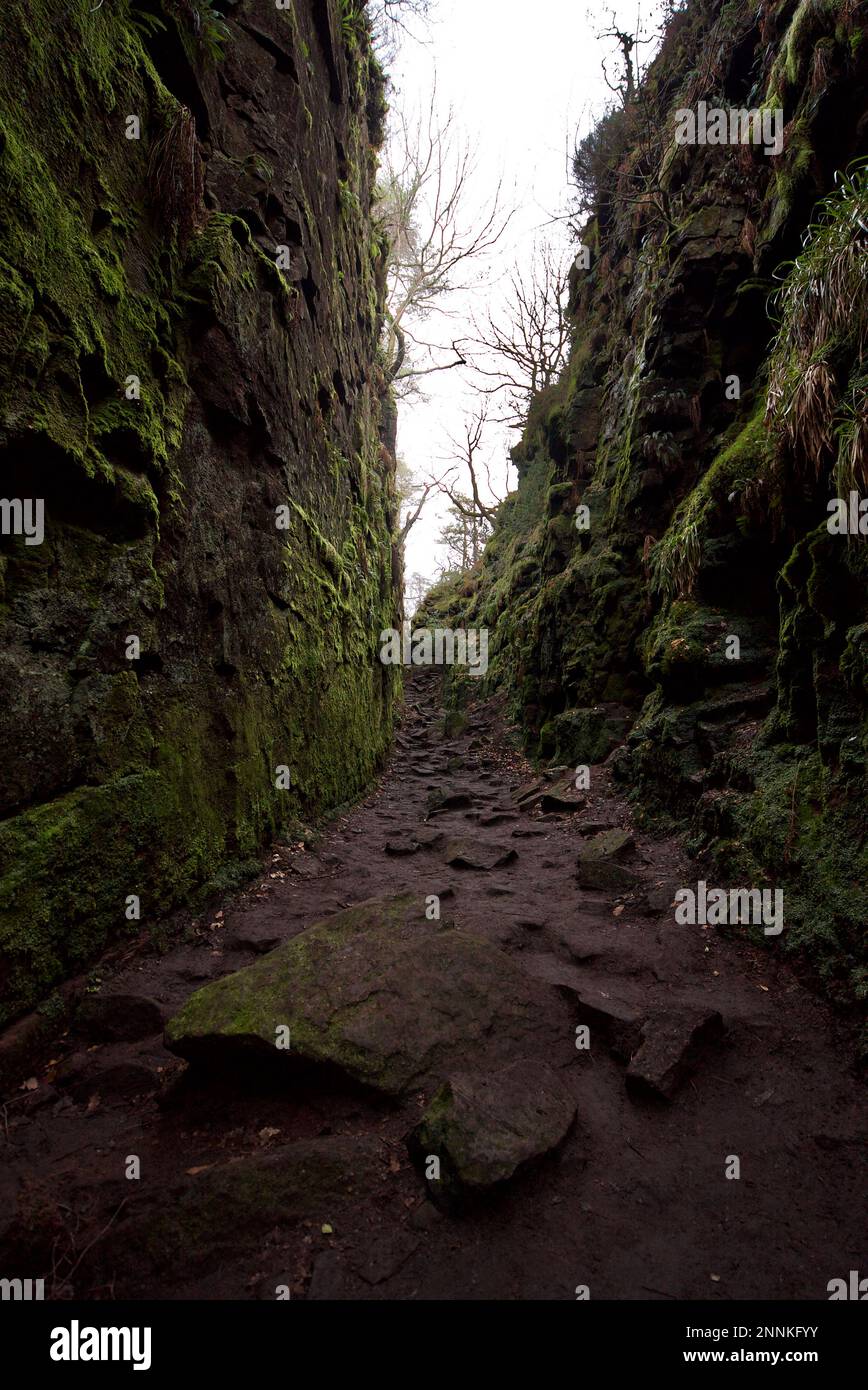 Lud's Church – eine tiefe Schlucht in Mühlstein-Grit-Grundgestein, die ...
