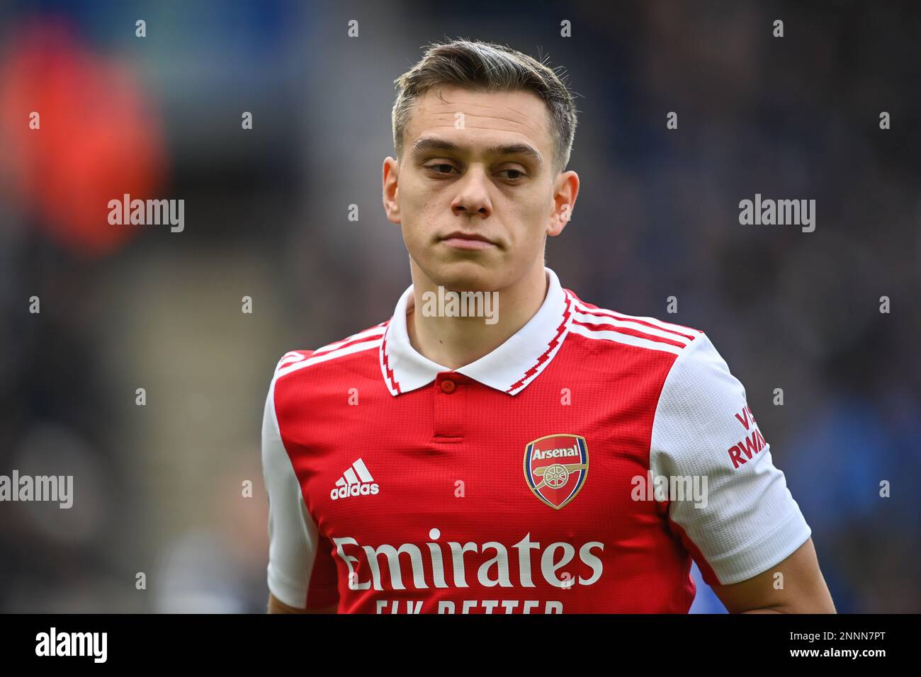 Leandro trossard 2023 -Fotos und -Bildmaterial in hoher Auflösung – Alamy